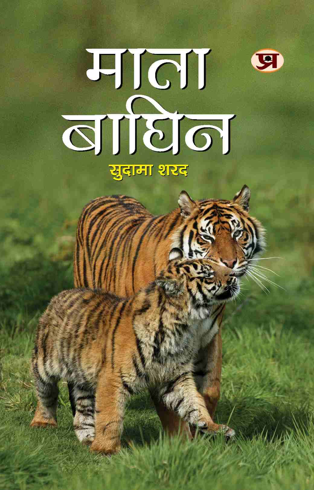 Mata Baghin 9789395386371 Prabhat Prakashan